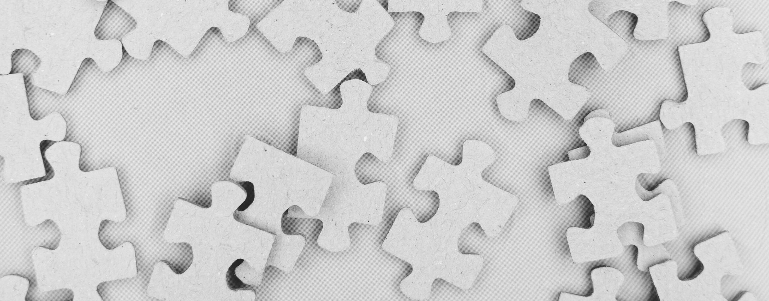 Partner - Bucksteeg Sicherheit + Service